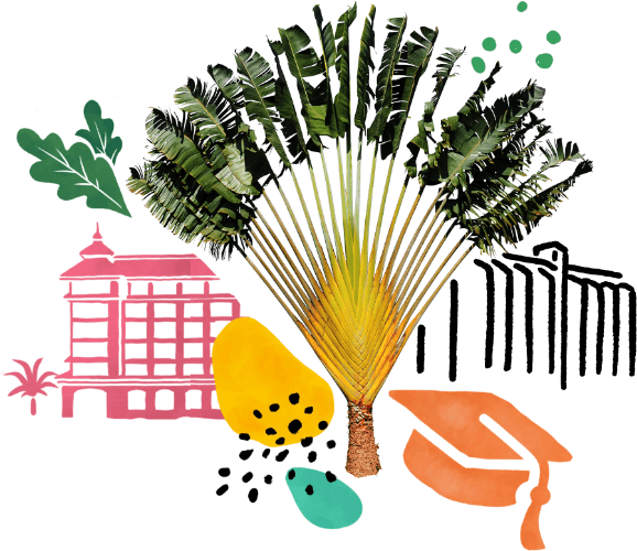 About – Eclosia Group